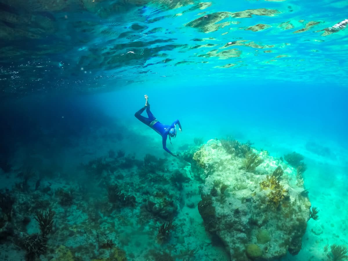 Native Hawaiian Fish in Kona: Your Guide to Sacred Ocean Life - Oahu ...